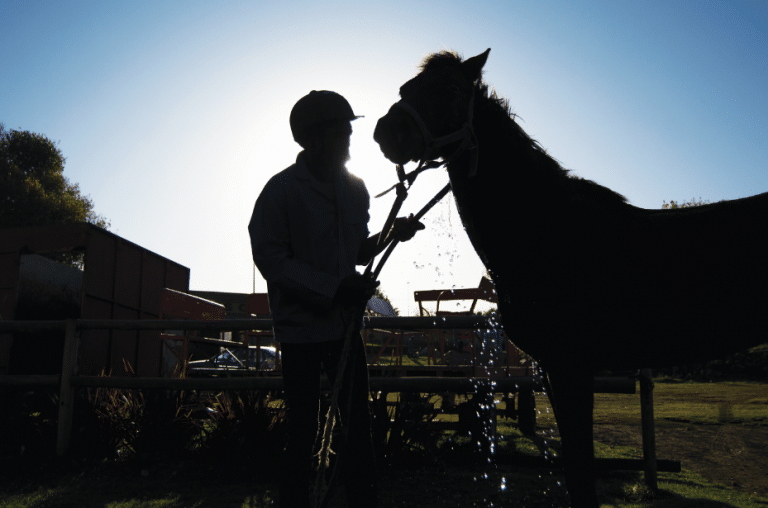 Big Shots: Stable Support For Mandela - Forbes Africa