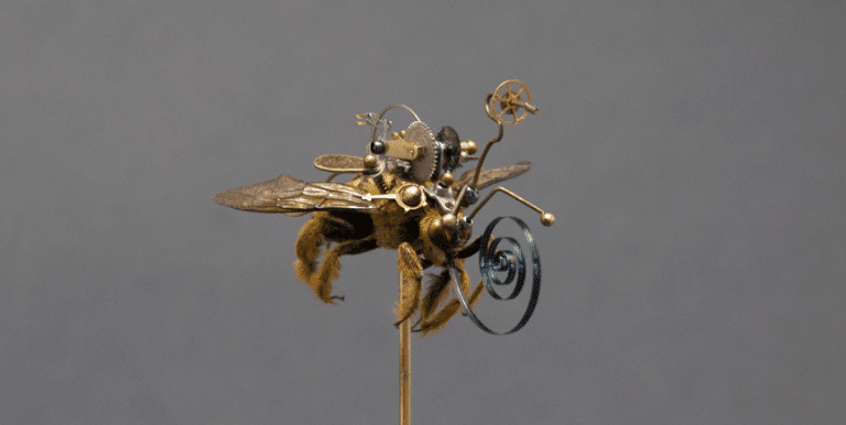 A Step Closer To Transformer Insects - Forbes Africa