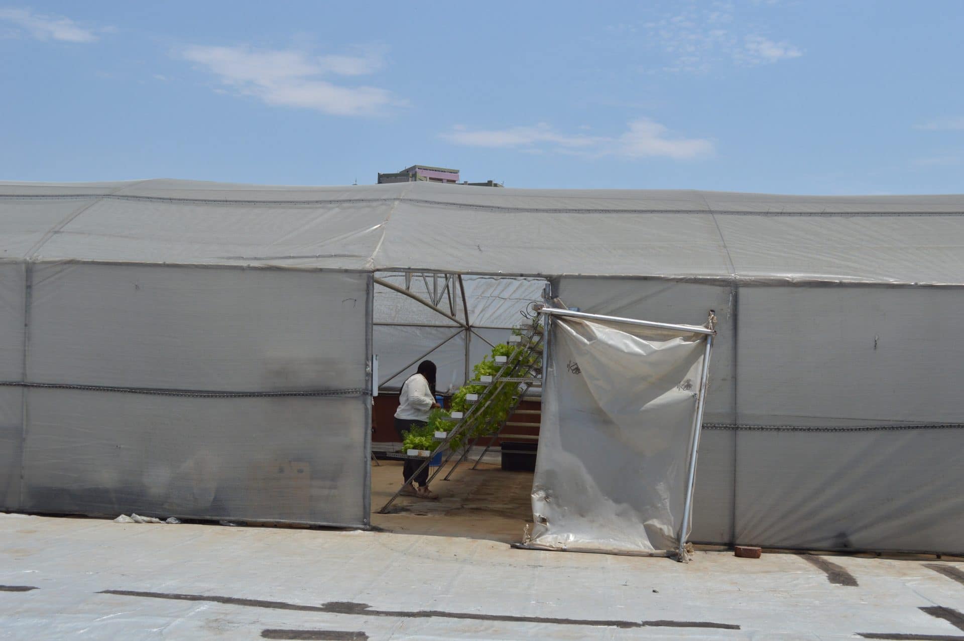 Green-Sky Thinking - Forbes Africa