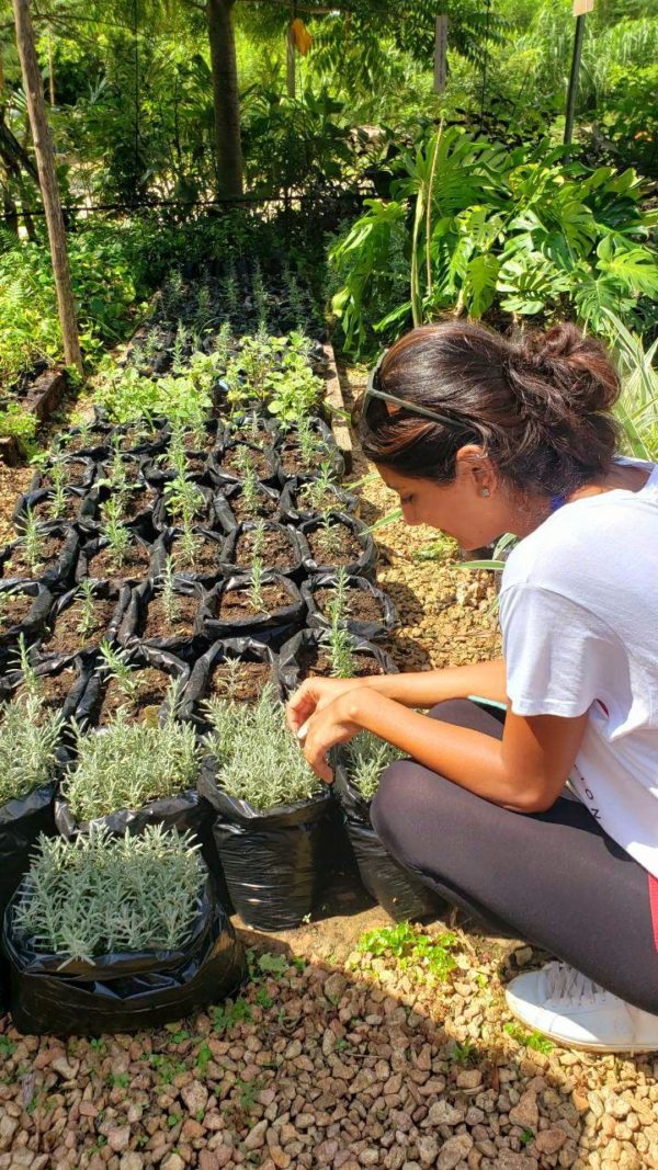 Enterprise And Traceable Tea From Tanzania - Forbes Africa