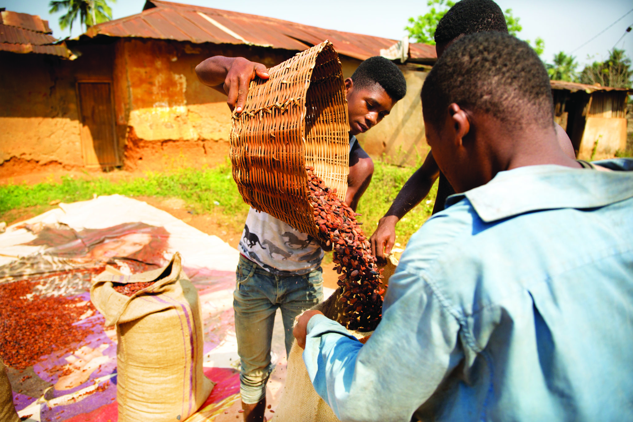 ‘Cocoa Farmers Who Have Never Tasted Chocolate In Their Lives’ - Forbes ...