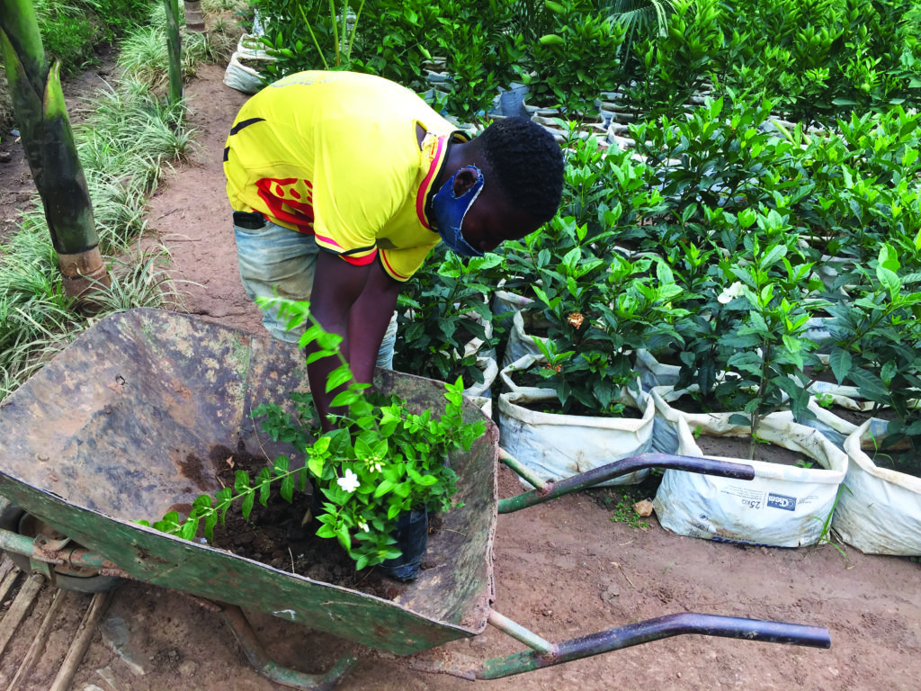 Rwandan Entrepreneur Who Is Reaping The Rewards With Booming Flower ...
