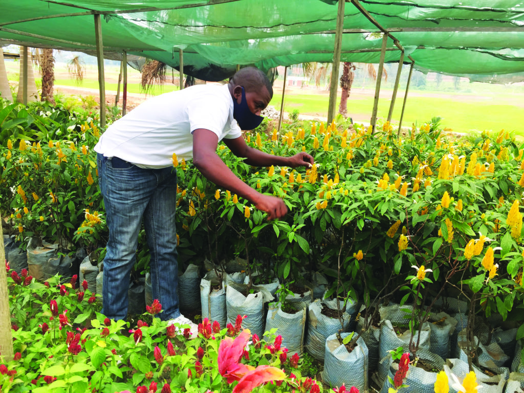 Flower farmer beautifying Kigali