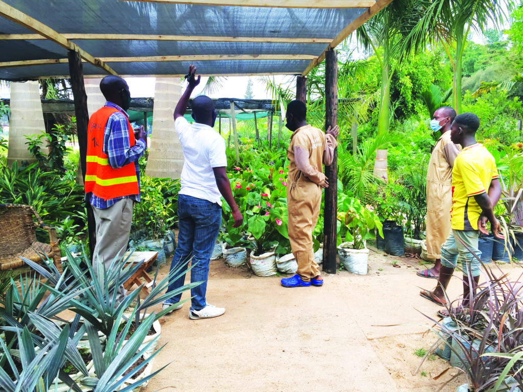 Rwandan Entrepreneur Who Is Reaping The Rewards With Booming Flower ...