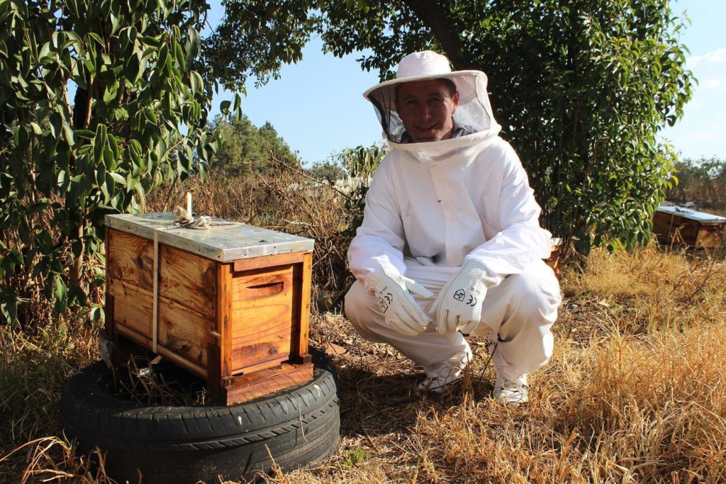 To Be or Not to Bee: The African Entrepreneur Creating A Buzz - Forbes ...