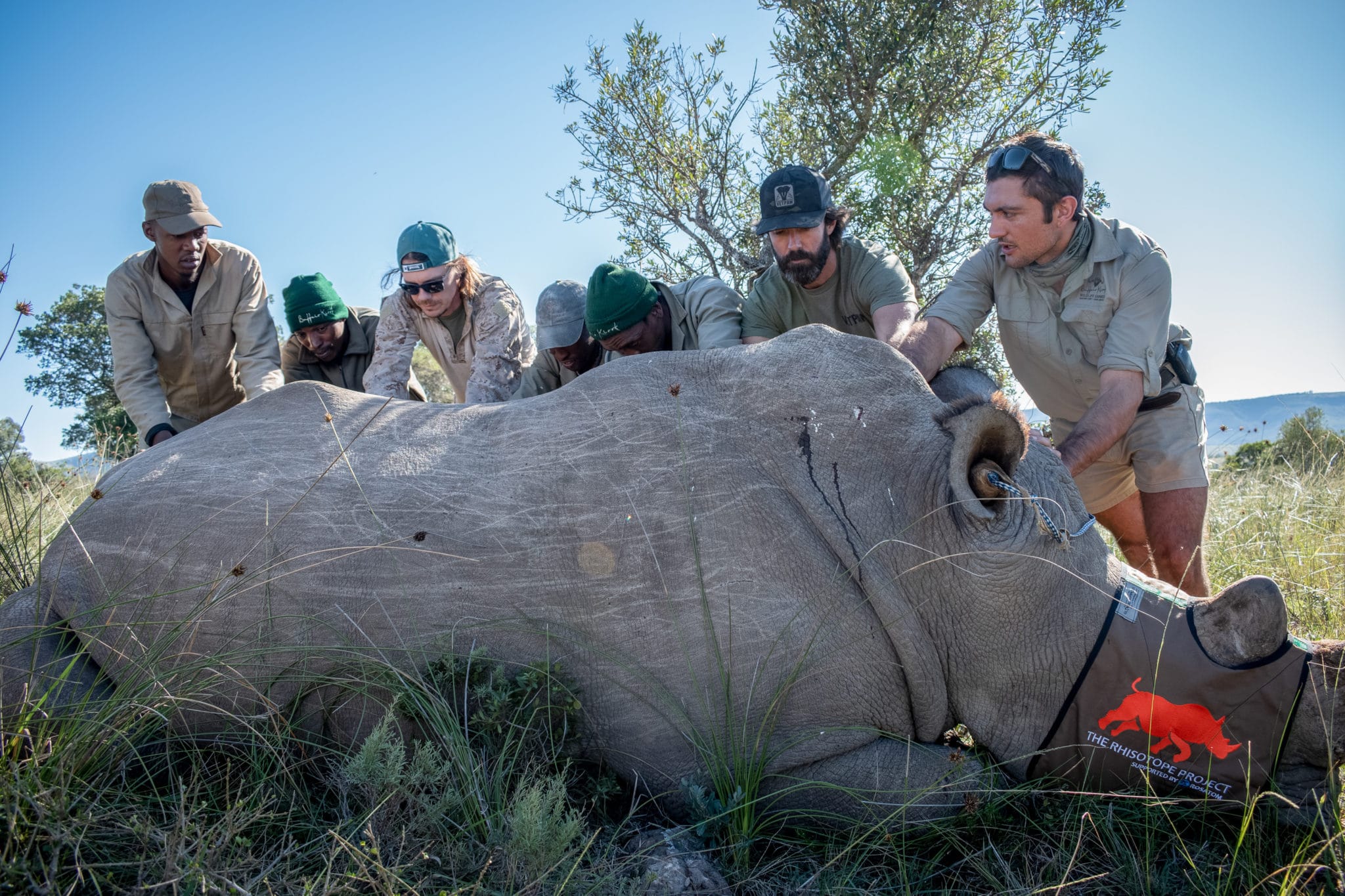 The Point Of The Radioactive Rhino: Nuclear Tech To the Rescue In South ...
