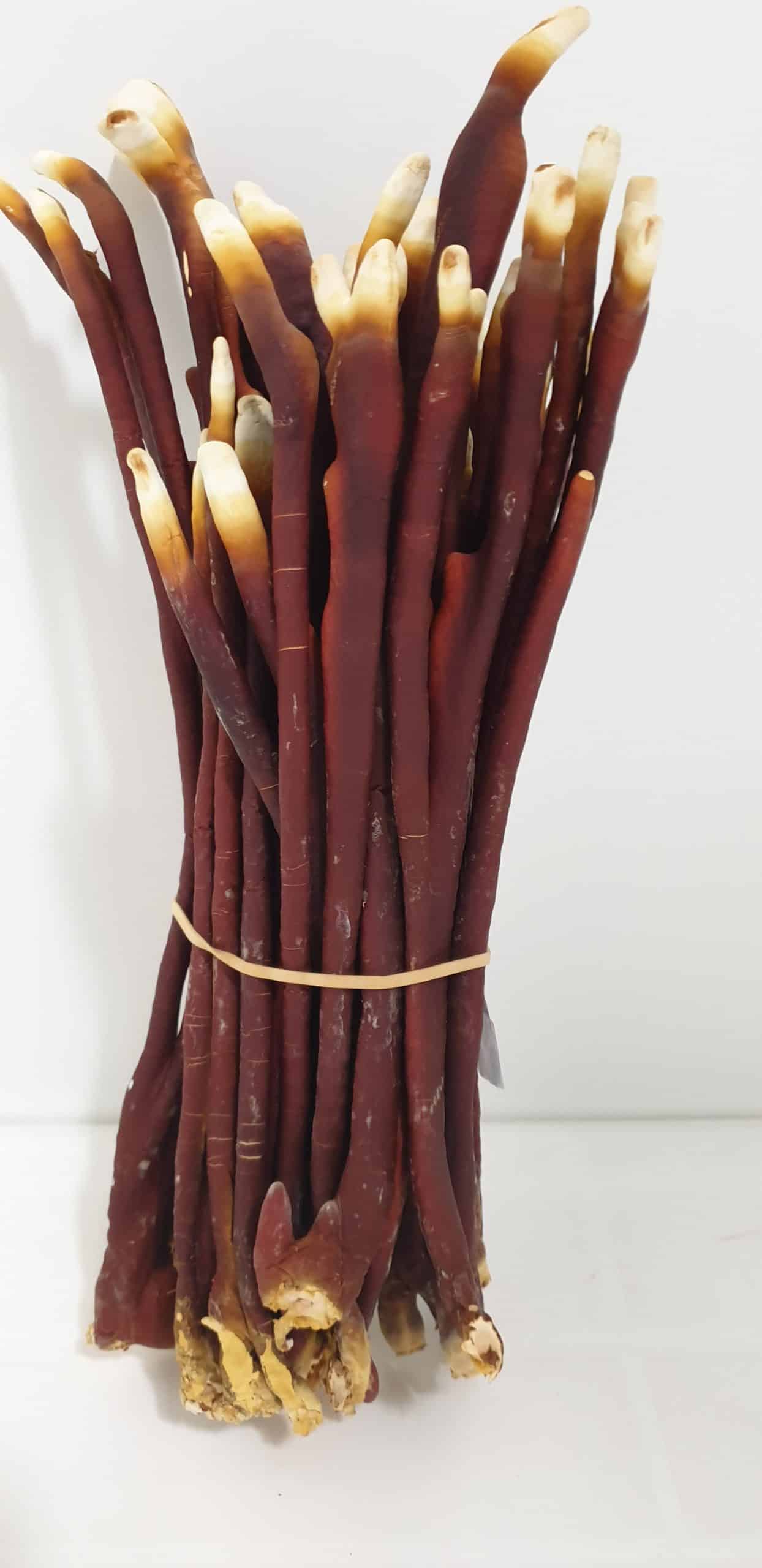 Schroom Boom: The Mycelium Revolution In Africa - Forbes Africa