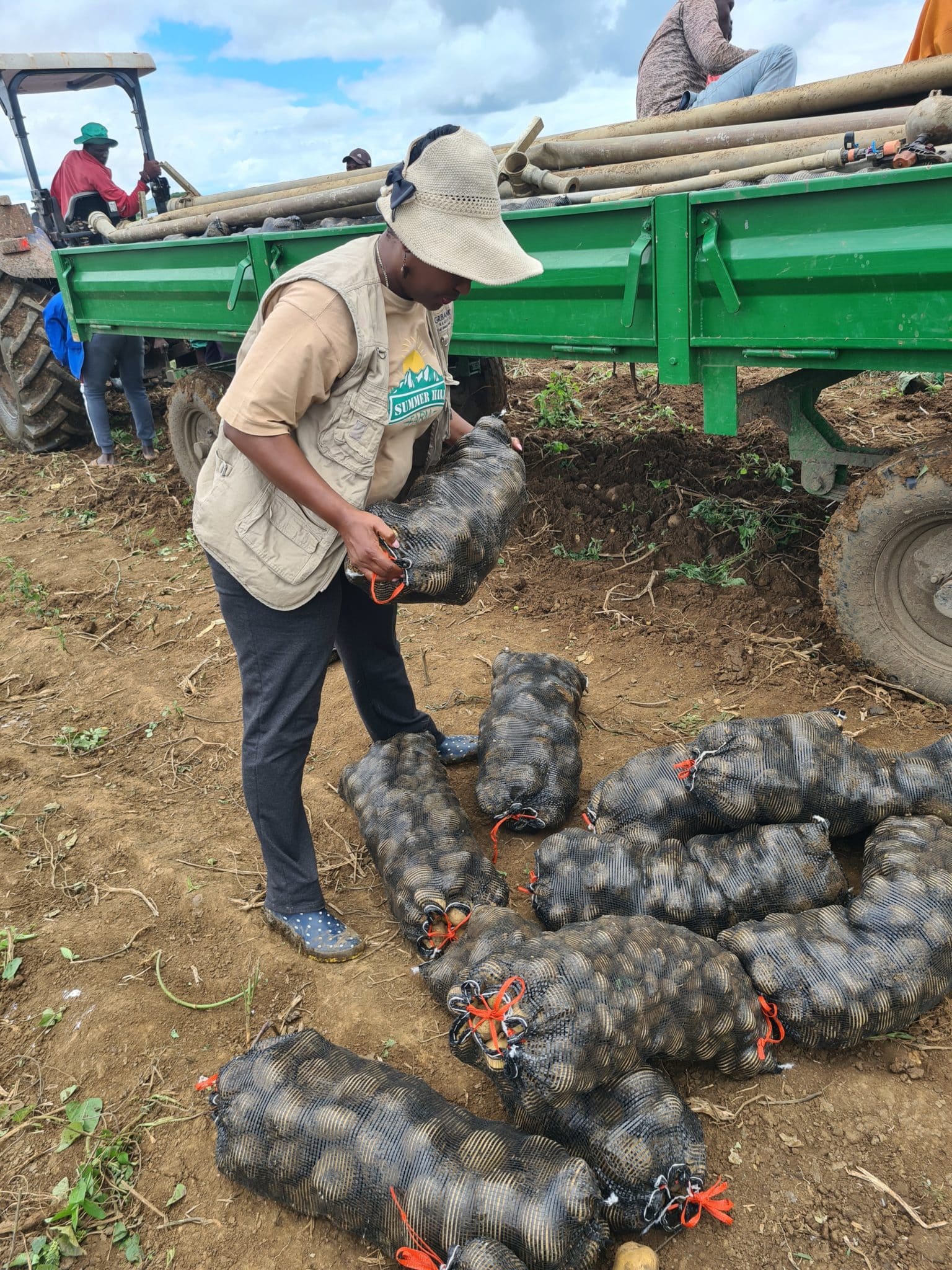 AFRICA'S GREEN ECONOMY: Africa's Agripreneurs Leading Smart Sustainable ...