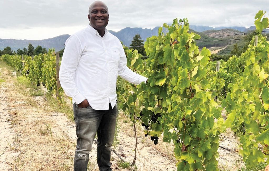 Tasting Success: What It Took to Become A Wine Farm Owner In South ...