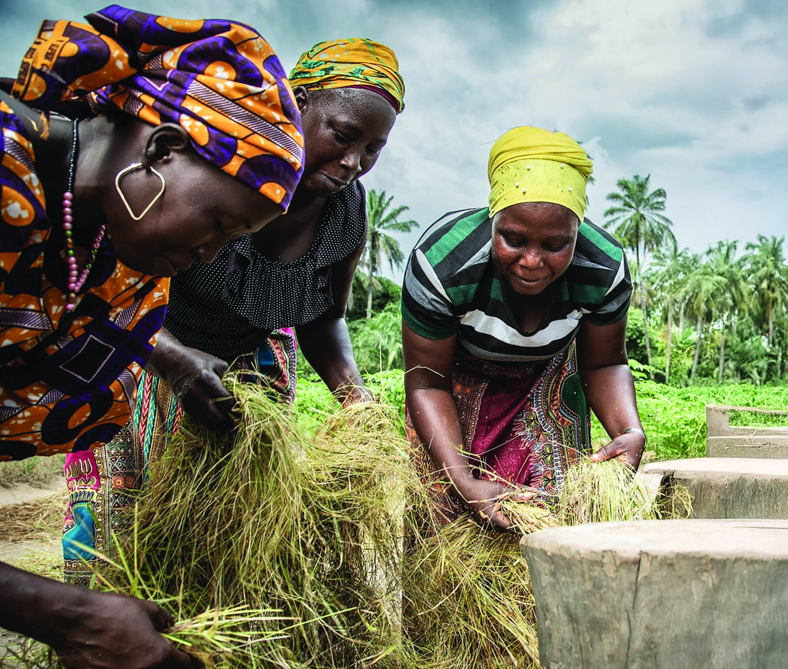 Advancing Agriculture: Africa's Young Farming Entrepreneurs Returning ...
