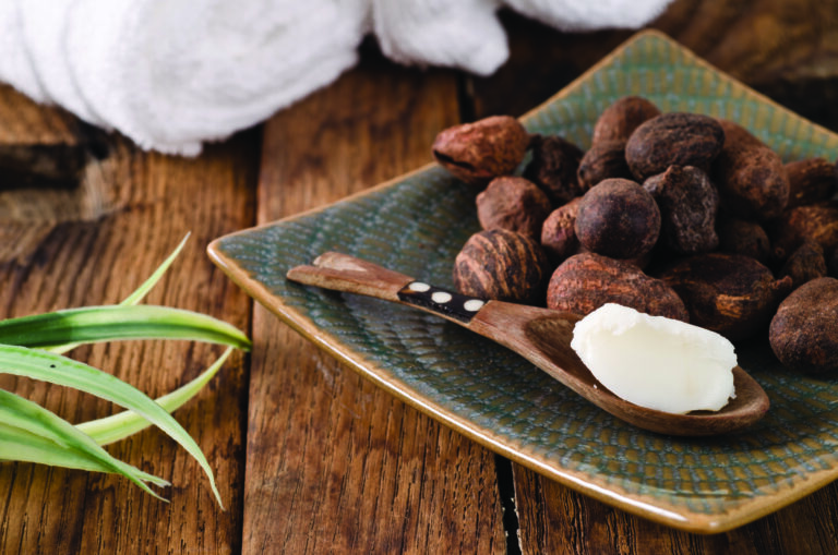 Shea Power: The Future Of 'Women's Gold' In West Africa - Forbes Africa