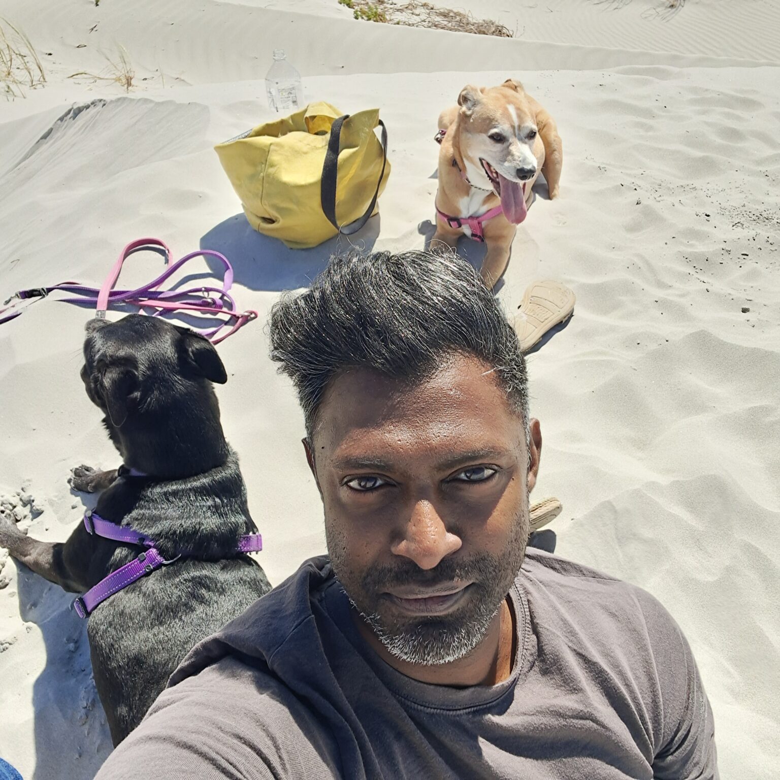 Meet The South African Techpreneur Using Pet Biometrics To Bring Lost ...