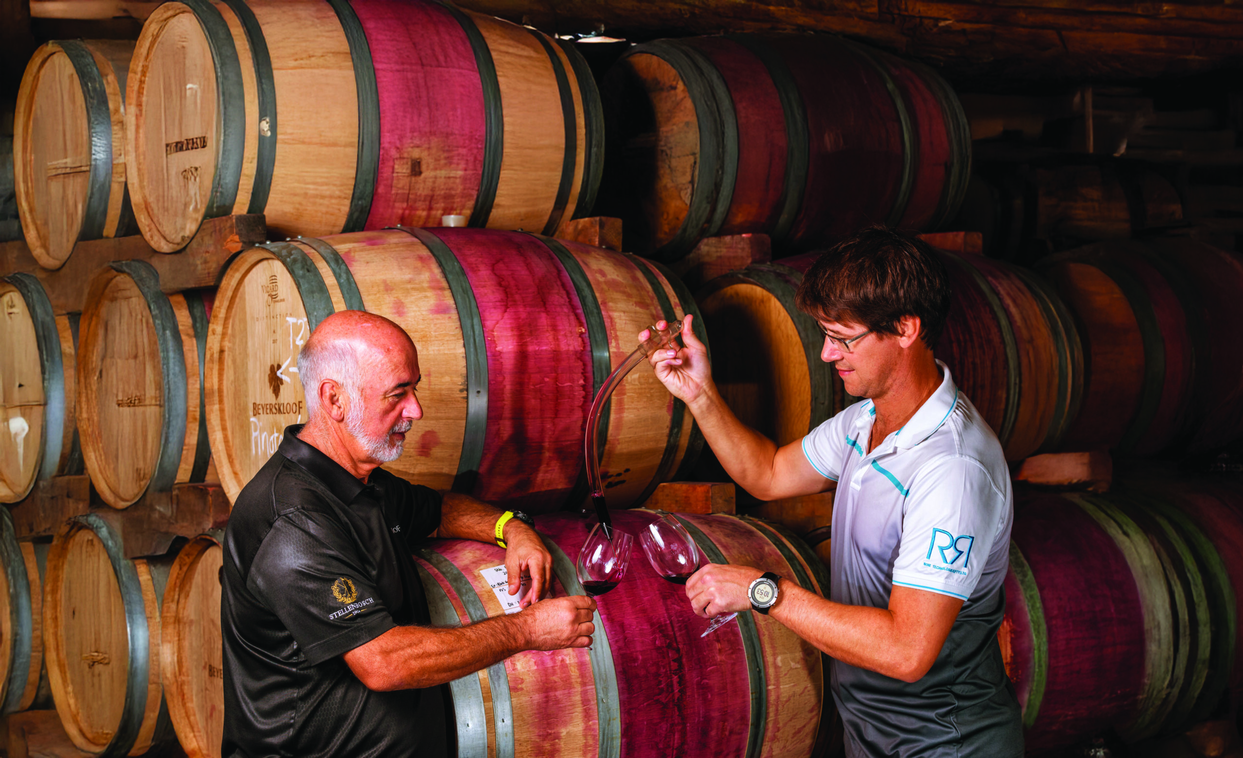 A Grape Future: Pinotage Turns 100 As A New Generation Redefines A ...