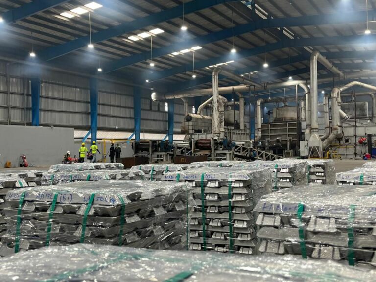 Scraps To Exports And Soil To Shelf - Forbes Africa